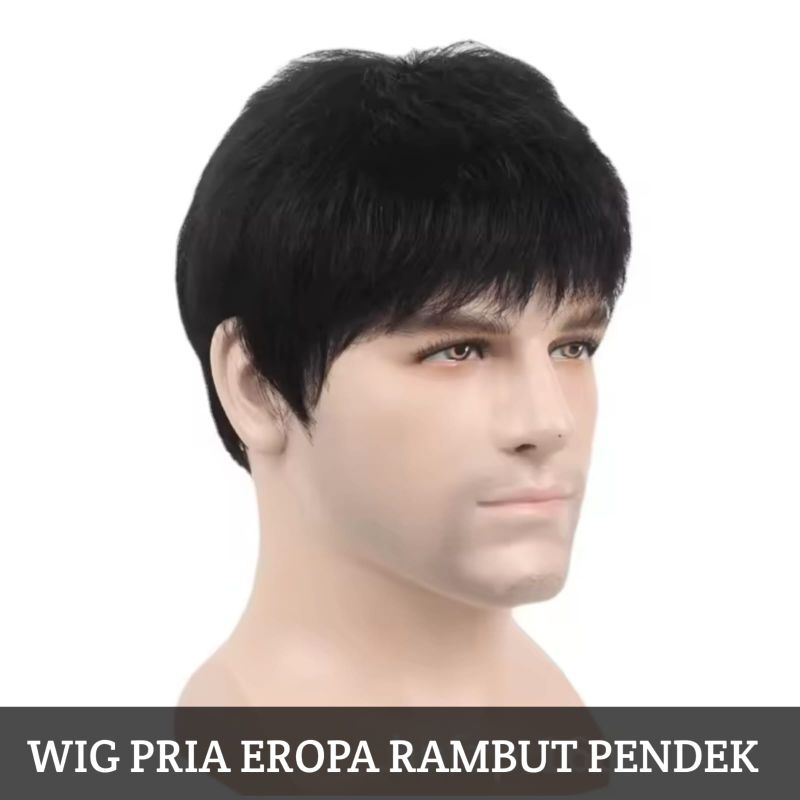 Jual Wig Pria Eropa Rambut Pendek Warna Hitam Full Wig Rambut Palsu ...