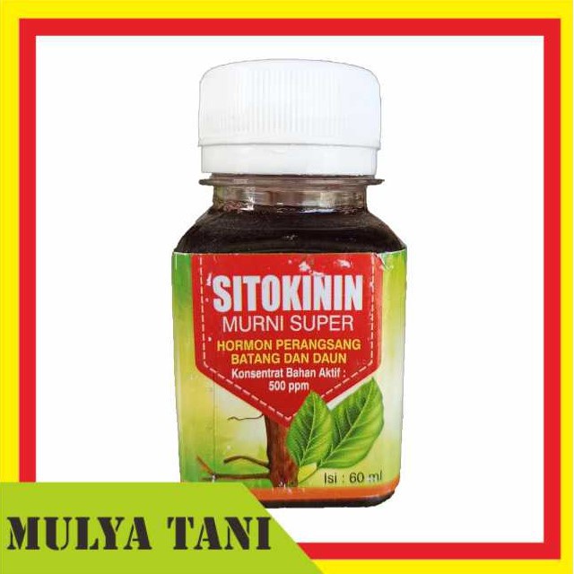 Jual Hormon Sitokinin Murni Super Hormon Pertangsang Batang Dan Daun 60 ...