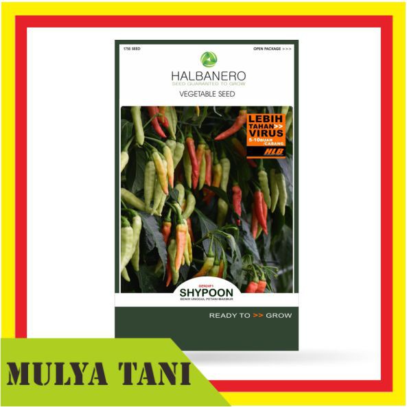 Jual Benih Cabe Setan Shypon - 10 Gram | Shopee Indonesia