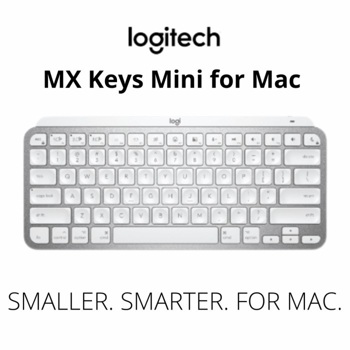 Jual Logitech Mx Keys Mini Mac Wireless | Shopee Indonesia