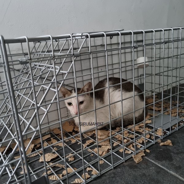 Jual ~@~@~@~@] kurungan besar lipat jebakan Kucing luwak Musang ...