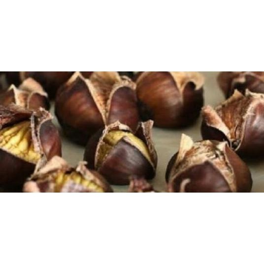 Jual Chestnut (Kacang Kastanye) | Shopee Indonesia