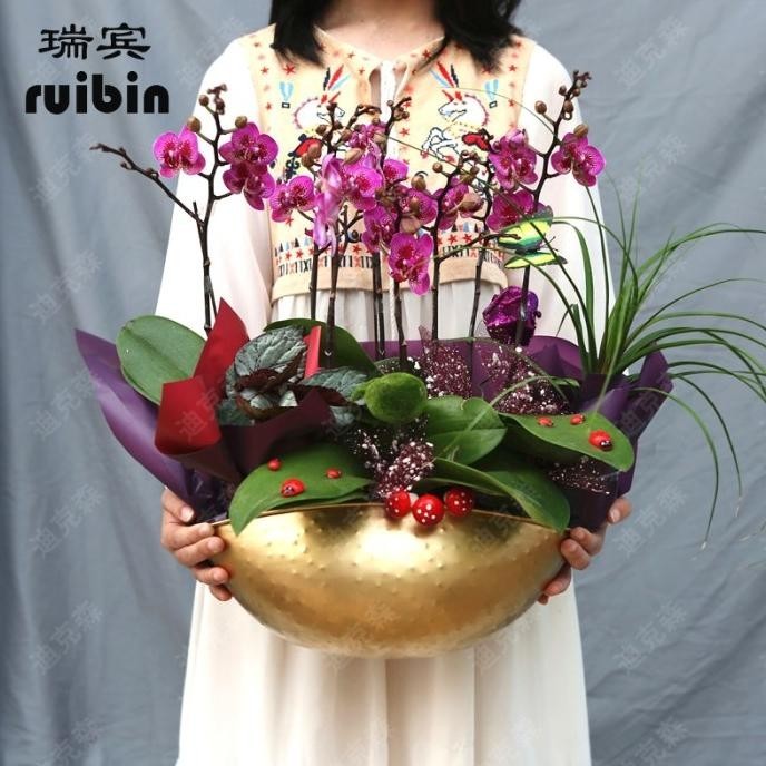 Jual New Vas Bunga Tembaga Mangkok Ceper Pot Bunga Besi Emas Bunga ...