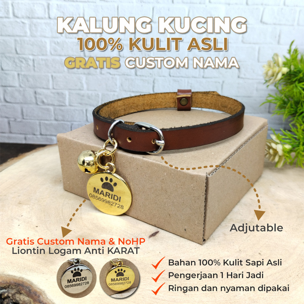 Jual 1 HARI JADI KALUNG KUCING KULIT ASLI PREMIUM CUSTOM NAMA LIONTIN ...