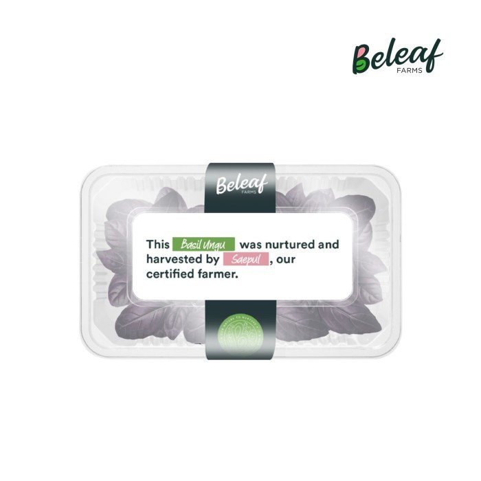 Jual Beleaf Farms Basil Ungu Hidroponik 20 gram | Shopee Indonesia