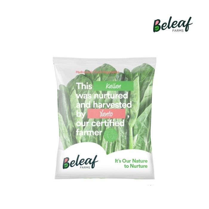 Jual Beleaf Farms Kailan Hidroponik 200 gram | Shopee Indonesia