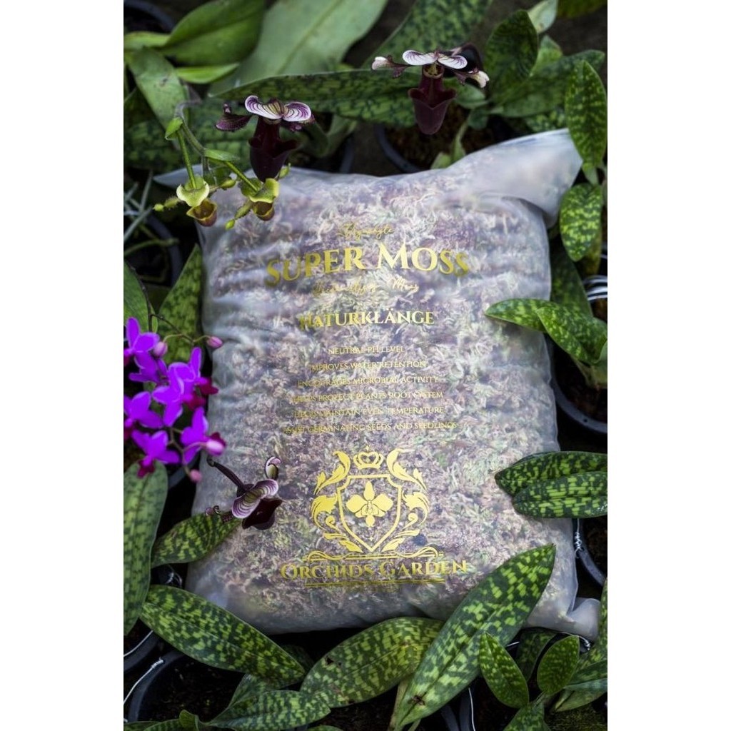 Jual Model Baru Sphagnum Moss 1 KG Lumut Hutan Kering Media Tanam ...
