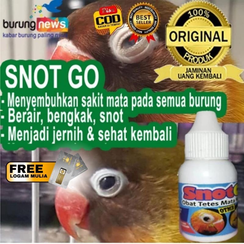 Jual Obat Mata Burung SNOT GO Untuk Mata Snot Berair Katarak Iritasi ...