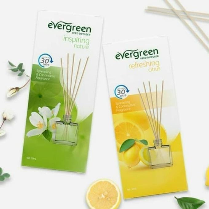 Jual Pengharum Ruangan Evergreen/Evergreen Reed Diffuser 30 | Shopee ...