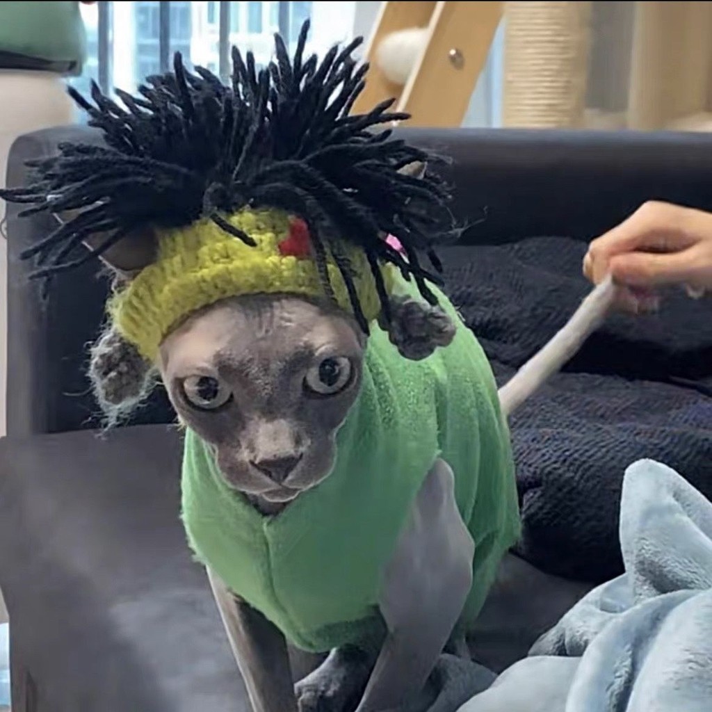 Jual Punk Funny Cat Hat Fur Cat Sphinx Headgear | Shopee Indonesia