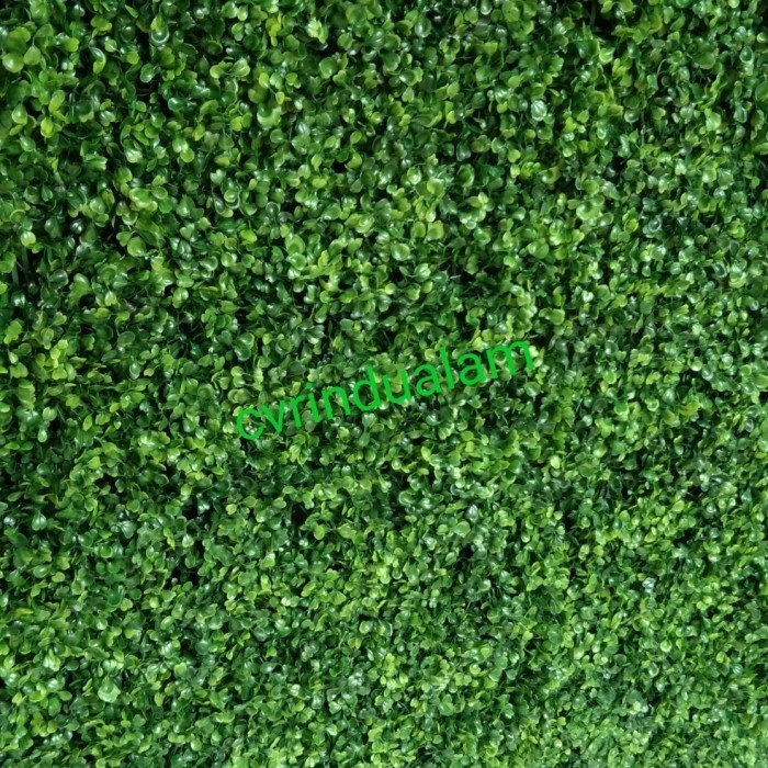 Jual Daun Dolar Ukuran 100 X 120 Dekorasi Tembok Taman/Artificial Daun ...