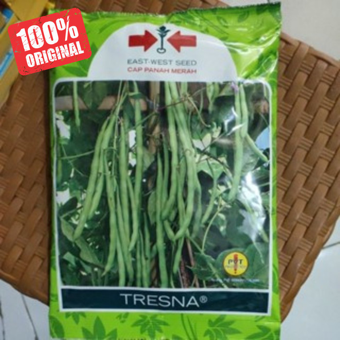 Jual Tresna 500 Gr Benih Buncis Tresna 500 Gr Cap Panah Merah | Shopee ...