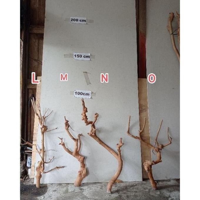 Jual Pohon Kayu Ranting Kering Hias Dekor Rumah Lamtoro Tinggi ...