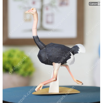 Jual Burung Unta Jantan MINI BInatang animal diorama papercraft ...