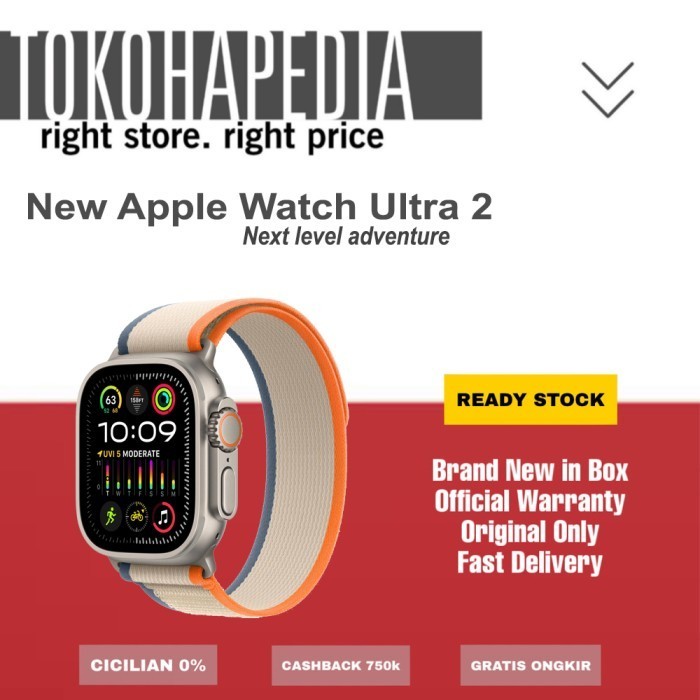 Jual APPLE WATCH ULTRA 2 ALPHINE LOOP OCEAN BAND TRAIL LOOP WATCH ULTRA ...