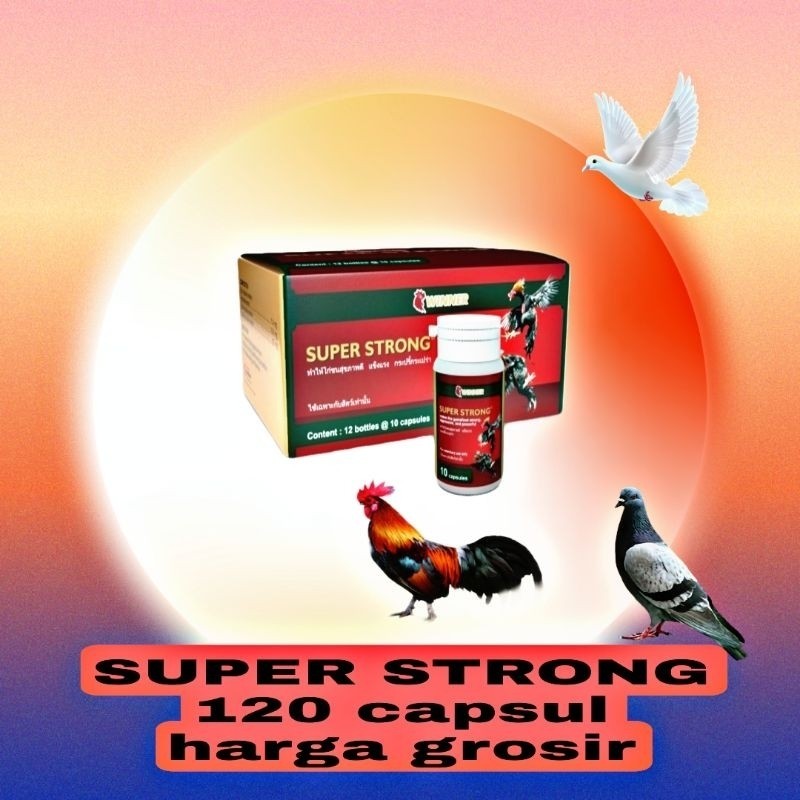 Jual SELUSIN SUPER STRONG 10 CAPSUL 12 BOTOL VITAMIN AYAM TARUNG SMA ...
