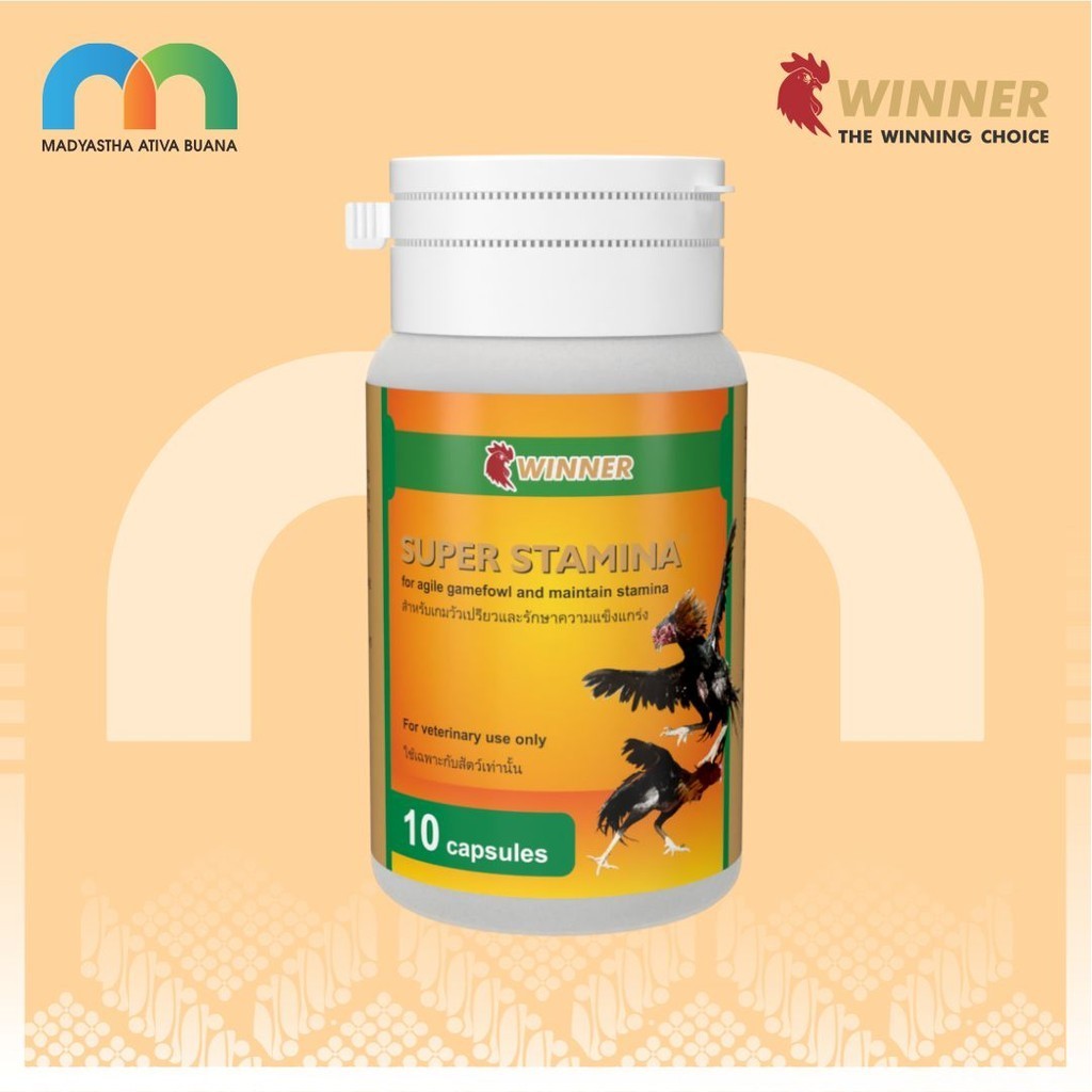 Jual WINNER Super Stamina 10 Kps Medion Multivitamin Adu/Kampung ...