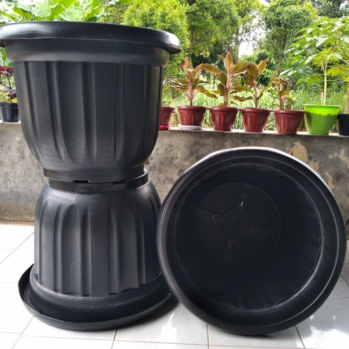 Jual Pot 60 Jumbo/Besar Pot Tanaman Buah Tabulampot | Shopee Indonesia