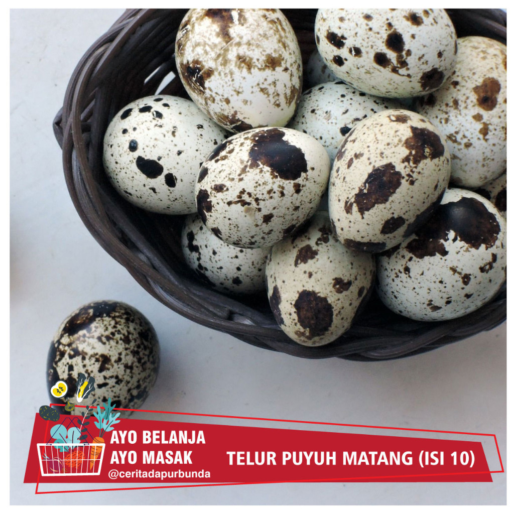 Jual TELUR PUYUH MATANG per 10 butir | Shopee Indonesia