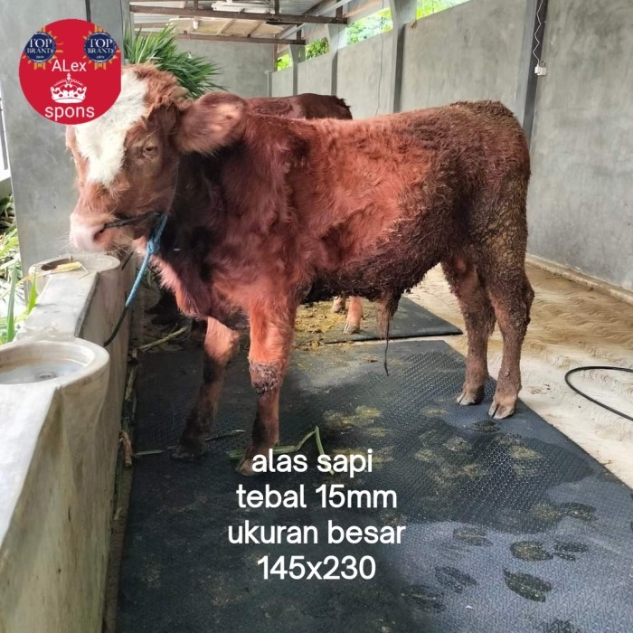 Jual Karpet Sapi 15Mm Motip 140X230 | Shopee Indonesia