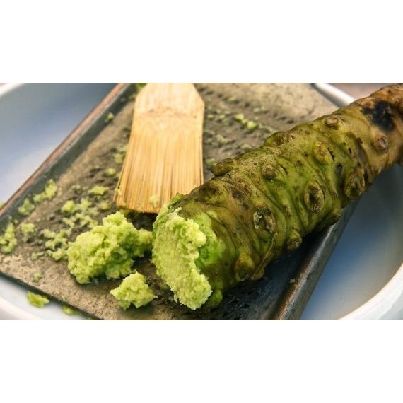 Jual Fresh Grated Real Wasabi 15Gr Frozen Wasabi Sushi Sashi Japan ...