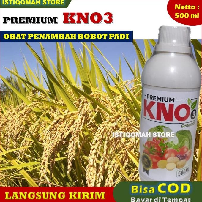 Jual Sale Premium Kno3 Obat Penambah Bobot Padi Atasi Bulir Padi Agar Berisi - Pupuk Organik ...