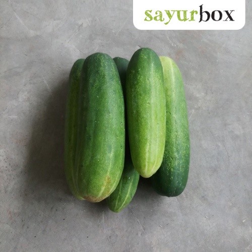 Jual Timun Baby Konvensional 500 gram Sayurbox | Shopee Indonesia