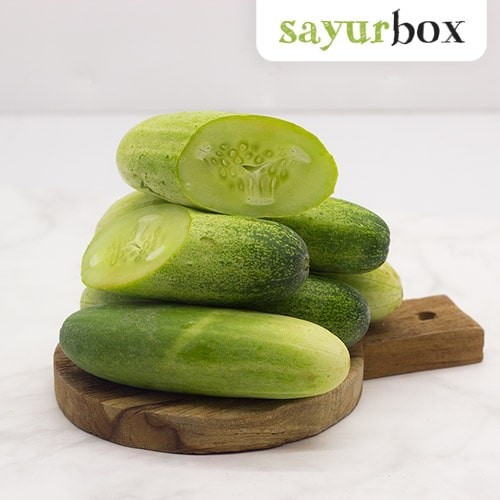 Jual Timun Konvensional 1 kg Sayurbox | Shopee Indonesia