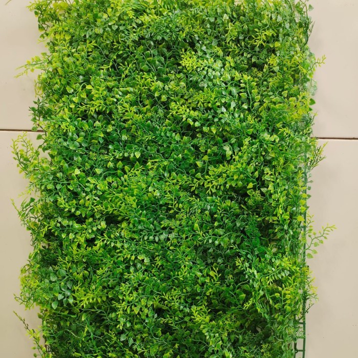 Jual Daun Vertical Garden Green - Tanaman Hias Dinding - Daun Dolar ...