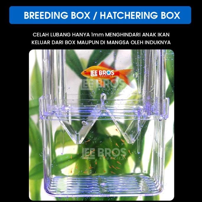 Jual Breeding Box Guppy / Isolation Box / Karantina ikan S, M, L ...