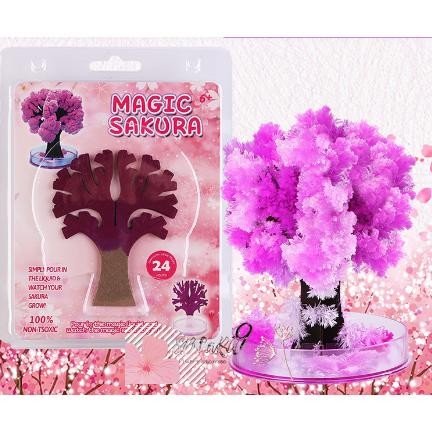 Jual aw-96 Pohon Sakura Ajaib Magic Cherry Paper Tree Growing Tree ...