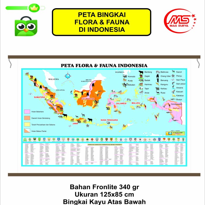 Jual Peta Flora Dan Fauna Indonesia Bestseller Peta | Shopee Indonesia
