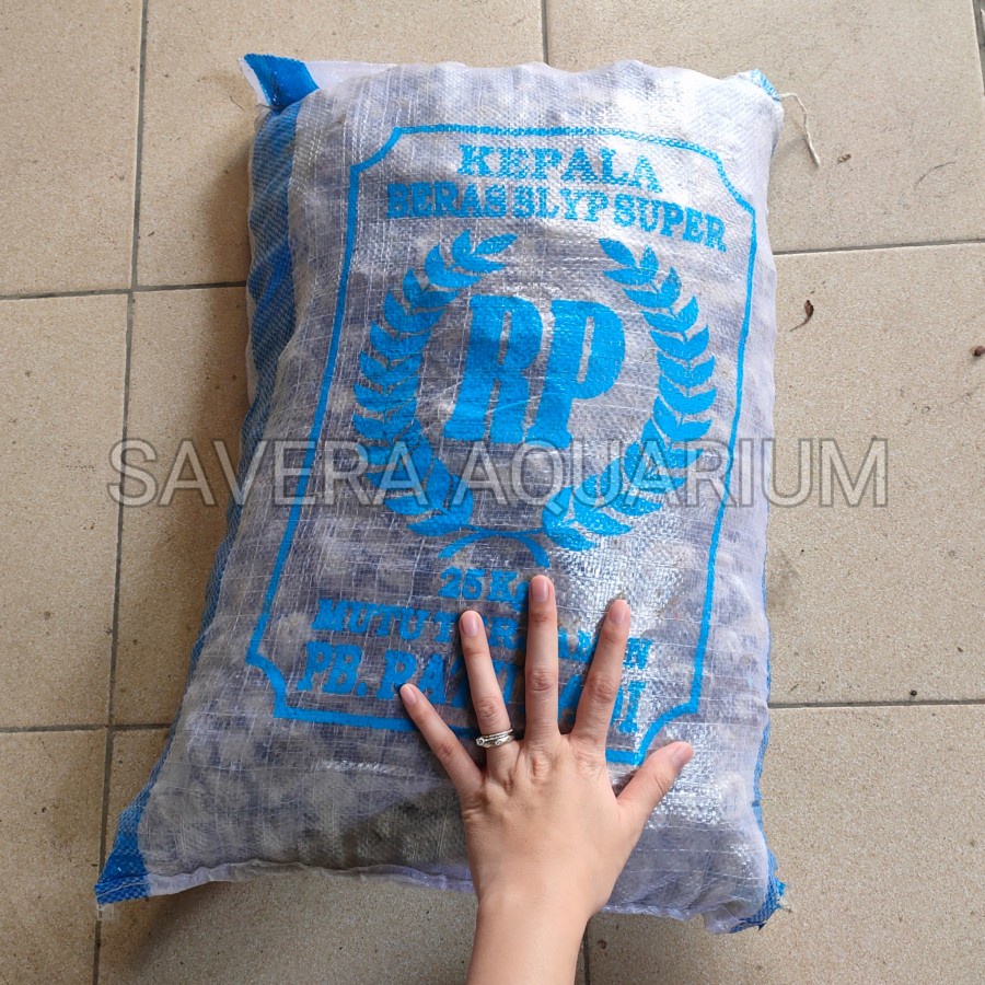 Jual BATU APUNG 1 KARUNG - PUMICE STONE - RUMAH BAKTERI MEDIA FILTER ...