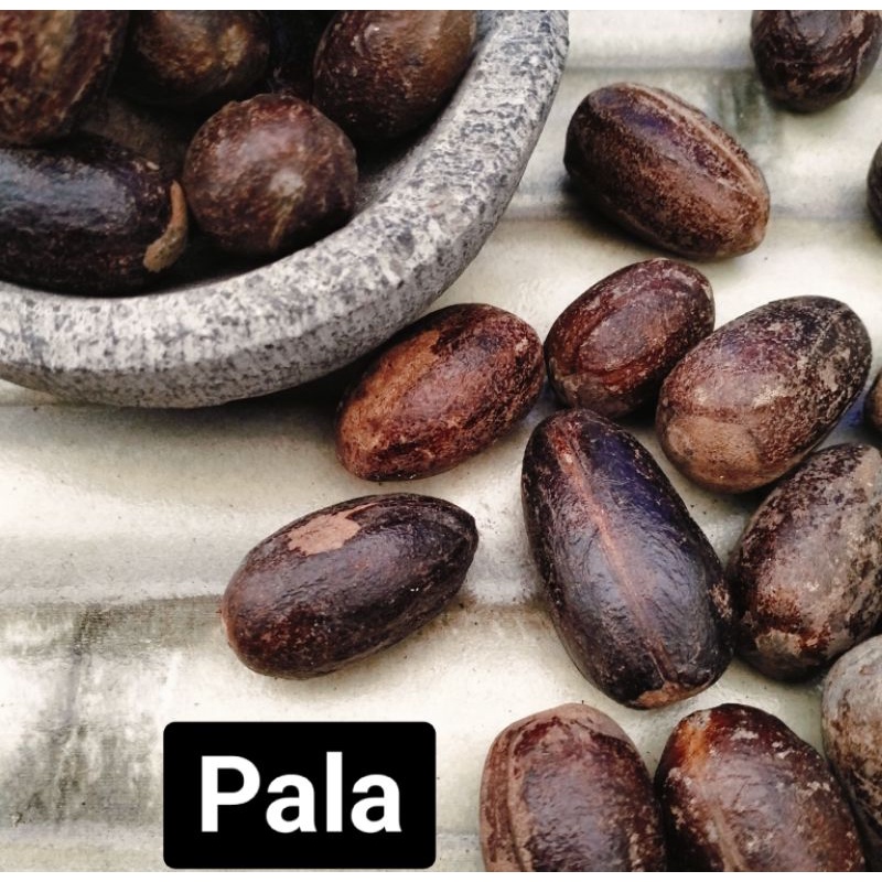 Jual Pala/Polo | Shopee Indonesia