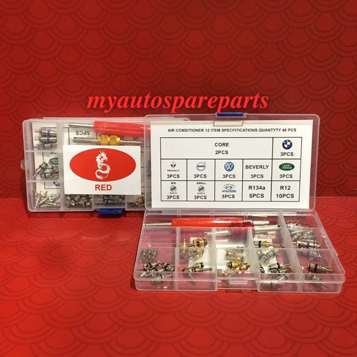 Jual [COD] Set Pentil Ac Mobil R134 - R12 Dan Alat Buka Pentil ...