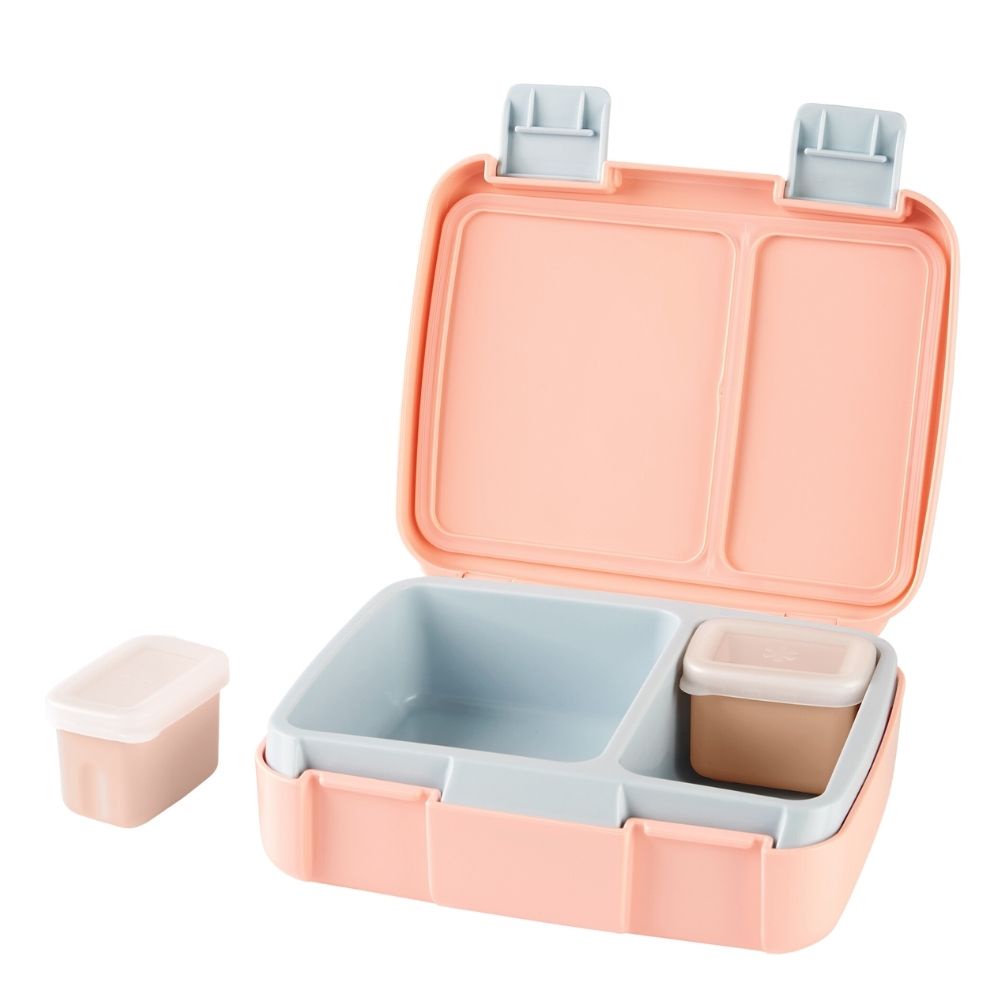 Jual Skip Hop Spark Style Bento Box Rainbow - Kotak Makan Anak Sekolah ...