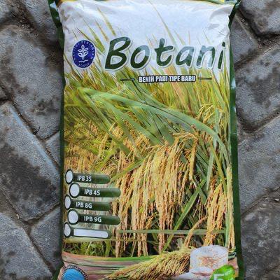 Jual BENIH PADI IPB 9Garuda BOTANI SEED BIBIBT PADI 9G | Shopee Indonesia