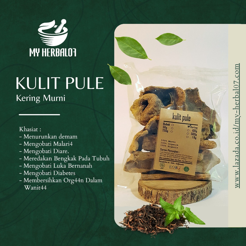 Jual Herbal Kesehatan Kulit Pule Kering / Alstonia Scholaris 250 Gram ...