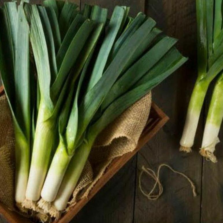 Jual Bibit Sayuran Daun Bawang Prei Hibrida - Benih Sayuran | Shopee ...