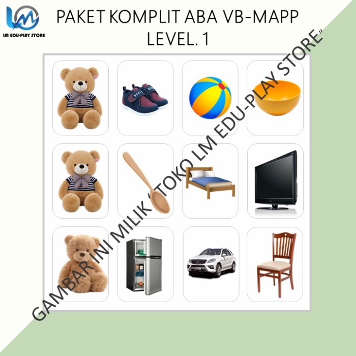 Jual Flashcard Paket Komplit Vb-Mapp Level 1 (Tact - Lr - Vp Mts ...