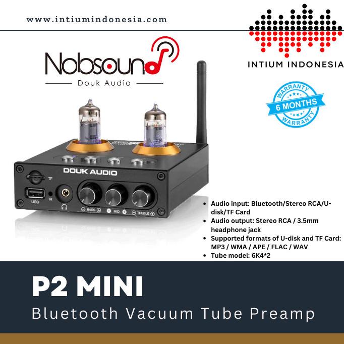 Jual Nobsound Douk Audio P2 Mini Bluetooth 5.0 Vacuum Tube Preamp ...