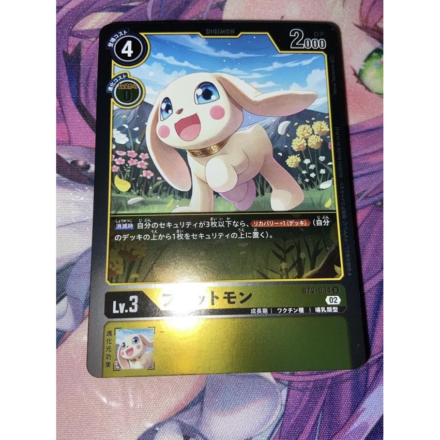 Jual Kartu Digimon Card Game Rising Wind RB01 BT2 Salamon | Shopee ...