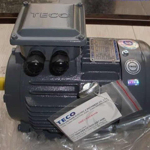Jual Hobi - Electro Motor Dinamo Teco 5Hp (3,7Kw), 3 Phase, 4 Pole ...