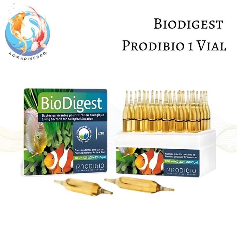 Jual Biodigest Prodibio 1 Vial Ampul Living Bacteria Bakteri Starter ...
