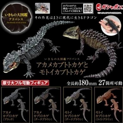 Jual Gashapon Red Eye Lizard Premium Bandai set | Shopee Indonesia
