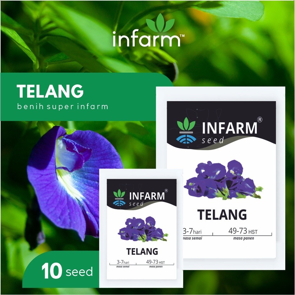 Jual Benih Bibit Biji Super Bunga Telang | Shopee Indonesia