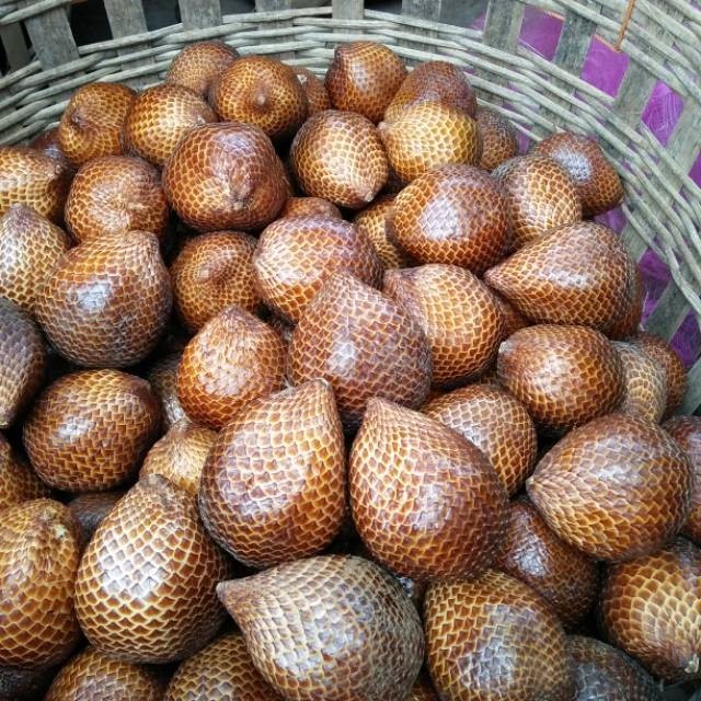 Jual Seed Center Bibit Benih Buah Salak (2 Seeds) | Shopee Indonesia