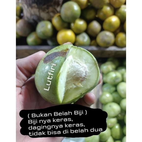 Jual Mangga Telor Atau Telur Muda Mentah 1 Kg Belah Biji Asem Segar ...