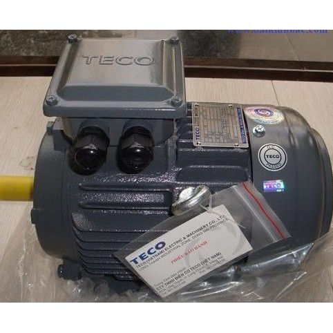 Jual Dinamo Elektro Motor TECO 2.2kw 3HP 4Pole 3Phase | Shopee Indonesia