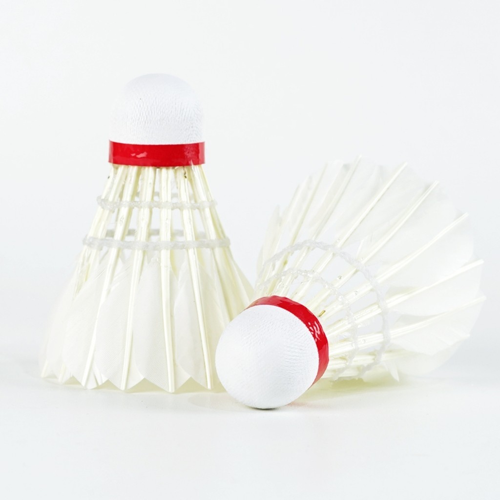 Jual Eagle Shuttlecock Badminton Pro - Original Pro | Shopee Indonesia